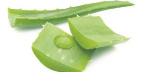 Conozca algunos beneficios de beber jugo de sábila todos los días ...