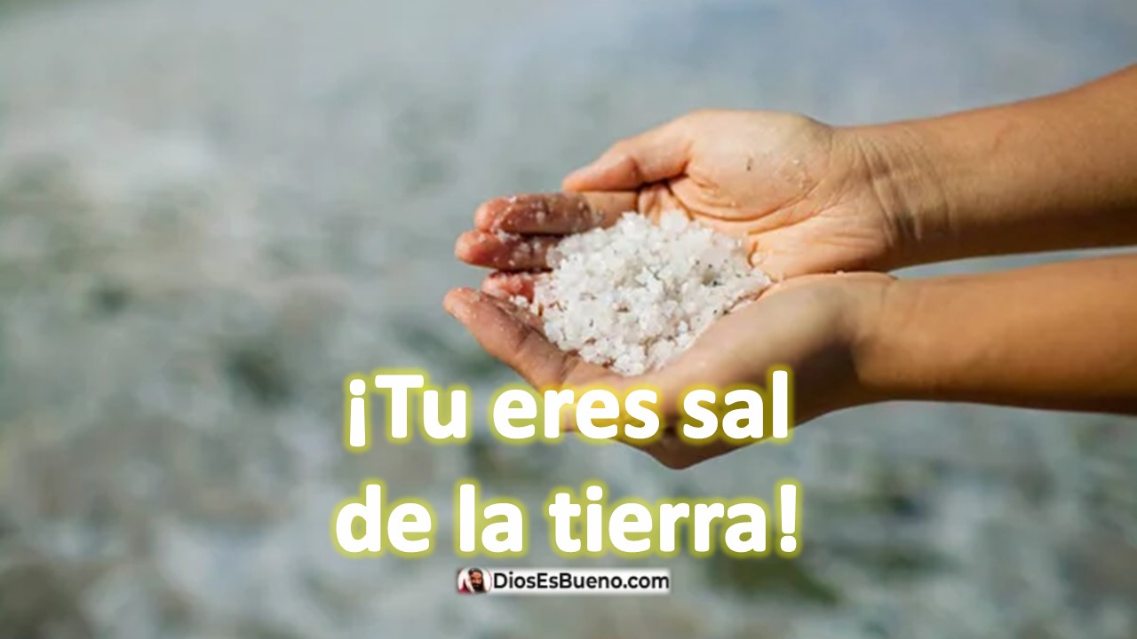 Creelo, eres la sal de la tierra | Dios Es Bueno